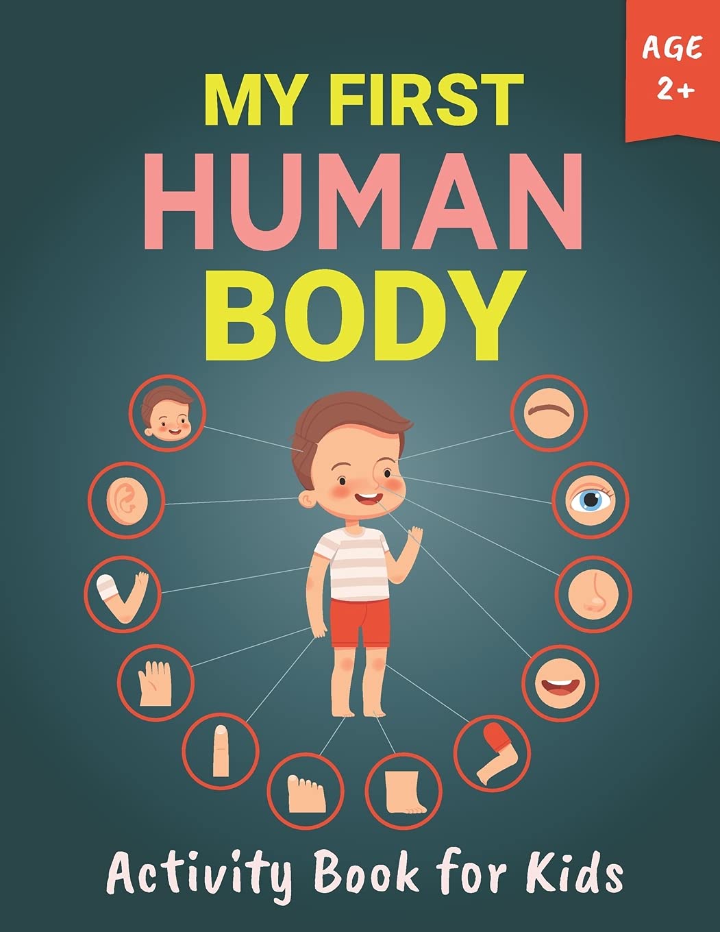 Buy My First Human Body Activity Book For Kids Ages 2 Human Body buy-my-first-human-body-activity-book-for-kids-ages-2-human-body