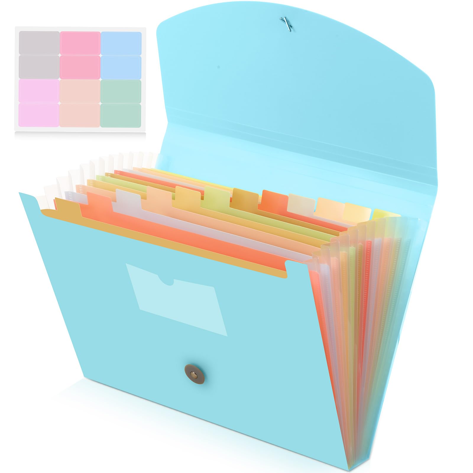 Amazon.com : Cholemy Expanding File Folder 13 Pockets File Organizer ...