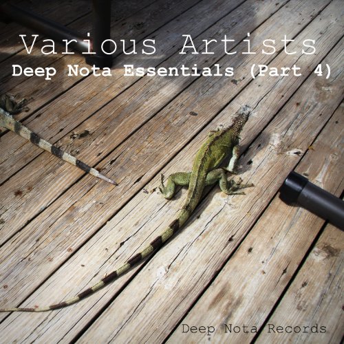 Amazon.com: Deep Nota Essentials (Part 4) : Various Artist: Digital Music