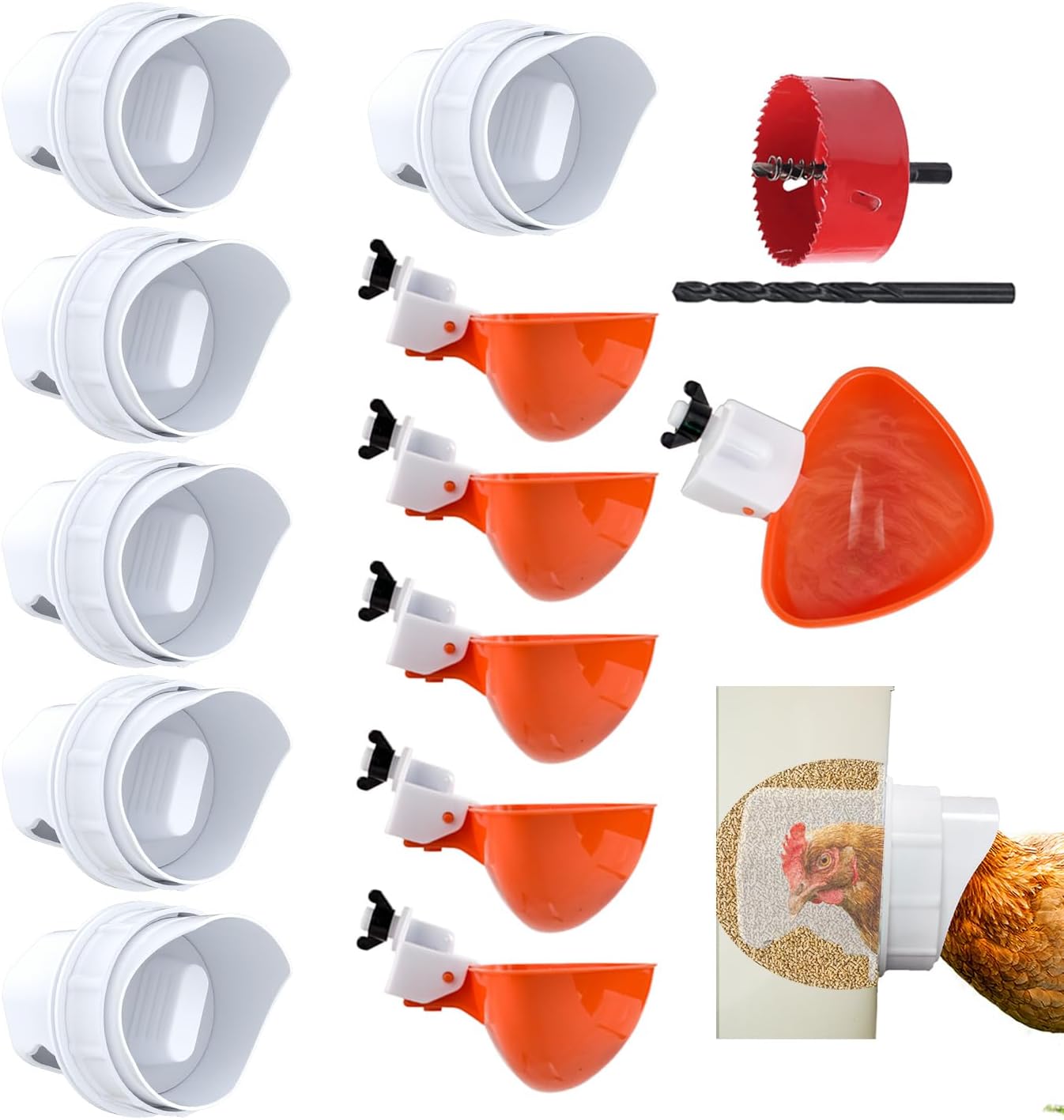 Amazon.com : Essilnn DIY Chicken Feeder and Waterer Automatic Chicken ...