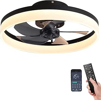 Fans with Lights Dimmable LED Reversible Blades Timing with Remote ...