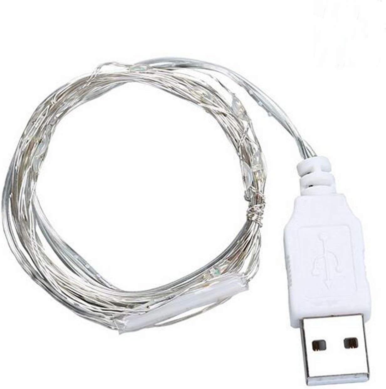 Amazon.com: Fidt 9ft 30 LED USB String Lights Silver Wire String Lights ...