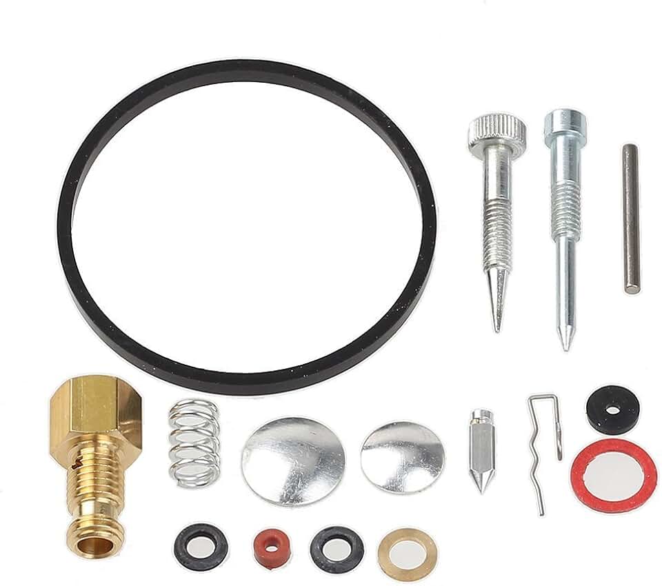 Amazon.ca: tecumseh carburetor rebuild kit