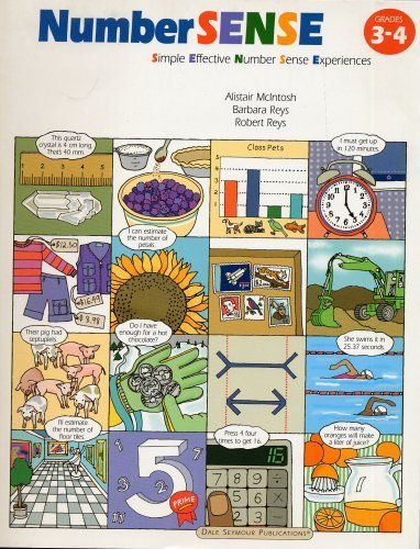 Number Sense: Simple Effective Number Sense Experiences Grade 3-4: Reys ...