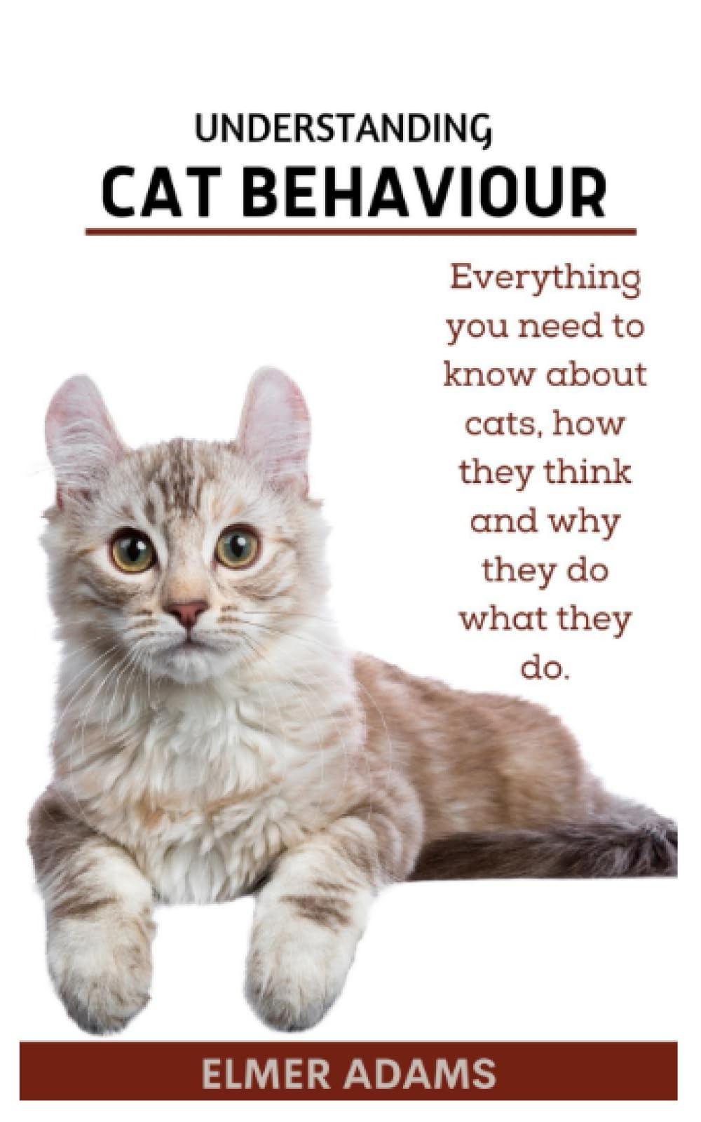 UNDERSTANDING CAT BEHAVIOUR: Everything you need to know about cats ...