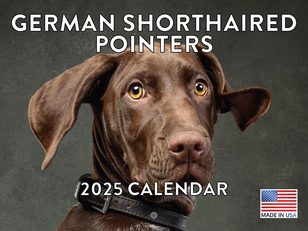 Amazon.com: German Shorthaired Pointer Calendar 2025 GSP Monthly Wall ...