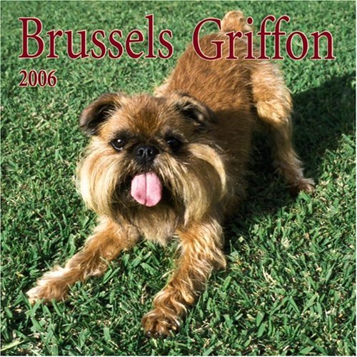 Brussels Griffon 2006 Calendar: 9780763196516: Amazon.com: Books