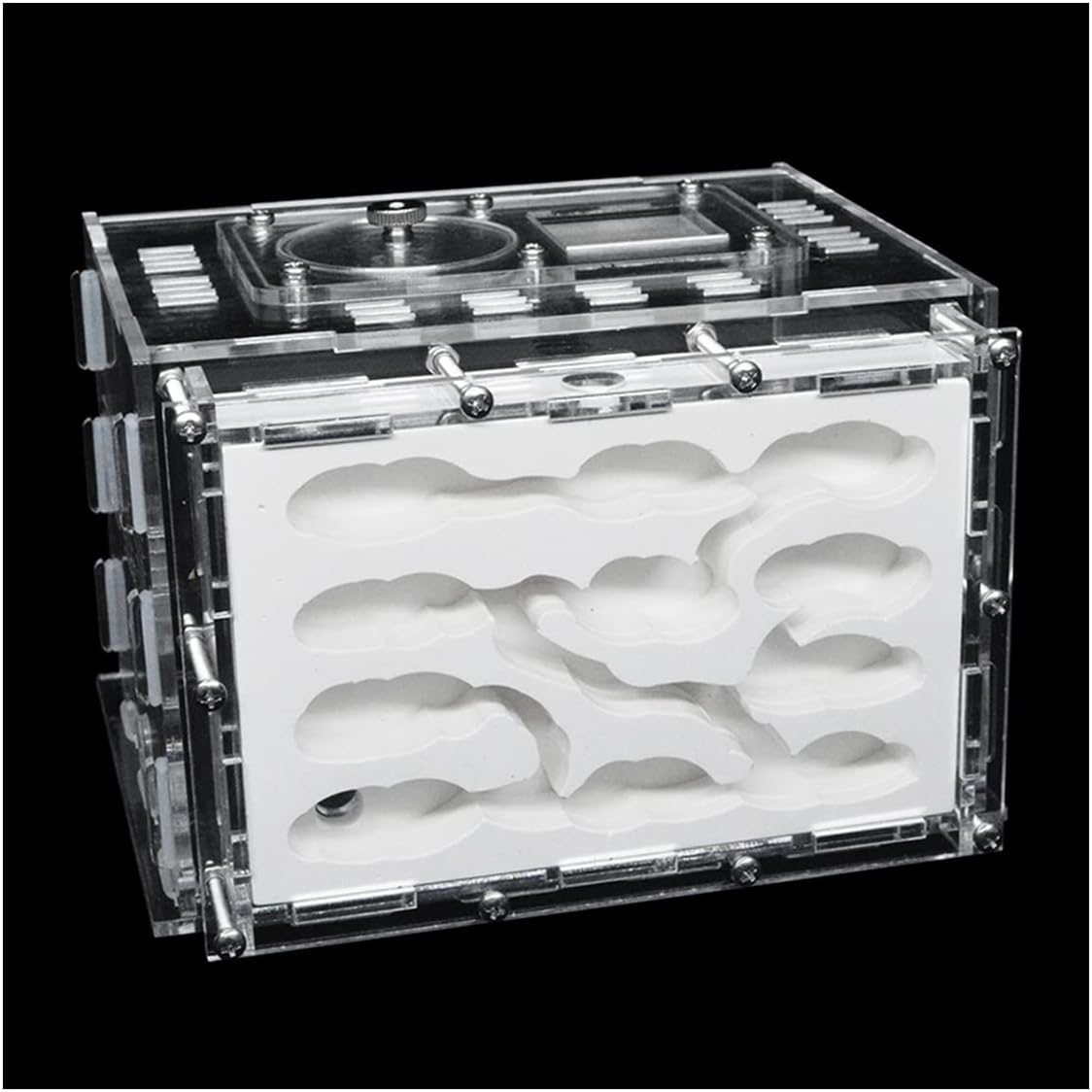 Amazon.com: Ant Farm Acryl Ant Farm Ecological Ant Nest Gypsum Ant ...