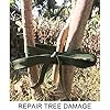 Amazon.com : Green Tree Tie Strap 50 Feet x 1 Inch Tree Support Straps ...