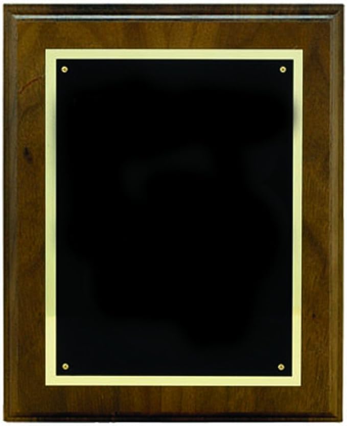 Amazon.com : SHOP AWARDS AND GIFTS Customizable Award Plaque ...