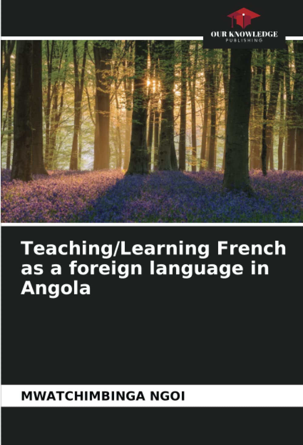 Teaching/Learning French as a foreign language in Angola ...