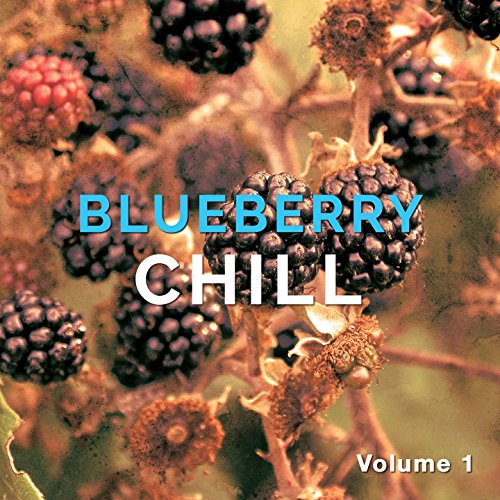 Amazon.com: Blueberry Chill, Vol. 1 (Fruity Chill out & Lounge Beats ...