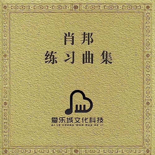 Amazon.com: 肖邦钢琴曲精选集 肖邦练习曲 古典钢琴曲歌单 世界经典古典音乐 : Linna Lee: Digital Music