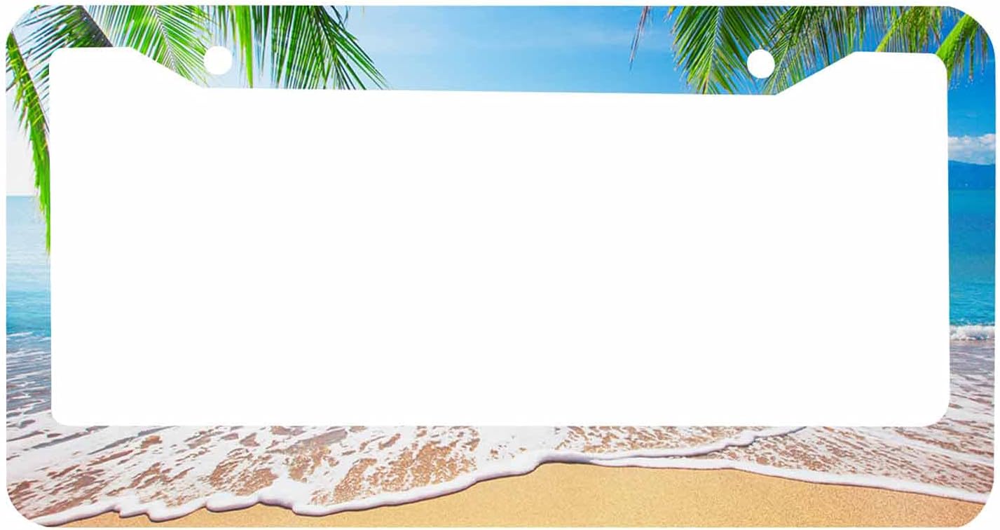 Amazon.com: DMSE Palm Tree Beach Theme Universal Metal License Plate ...