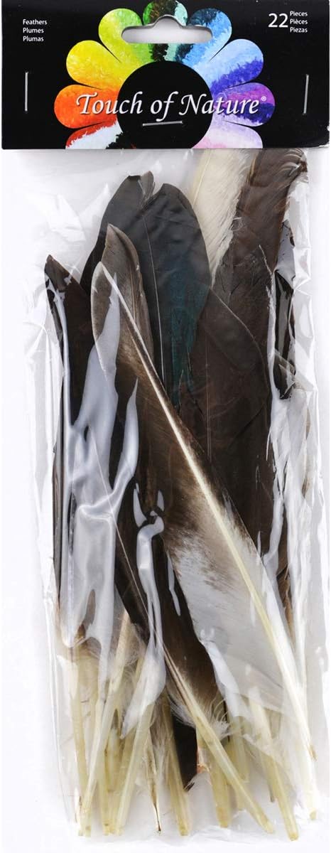 Amazon.com: Touch of Nature 22-Piece Duck Wing Quills for Arts and ...