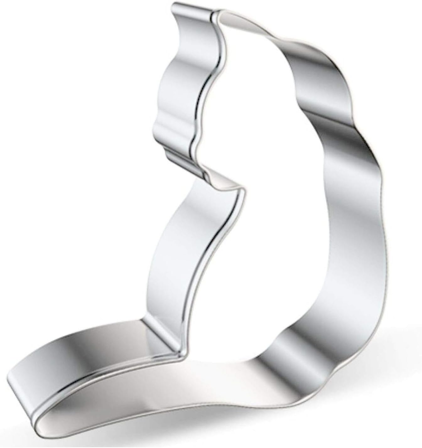 Amazon.com: WIN 5pcs Cute Cat Shape Cookie Cutter Stainless Steel ...