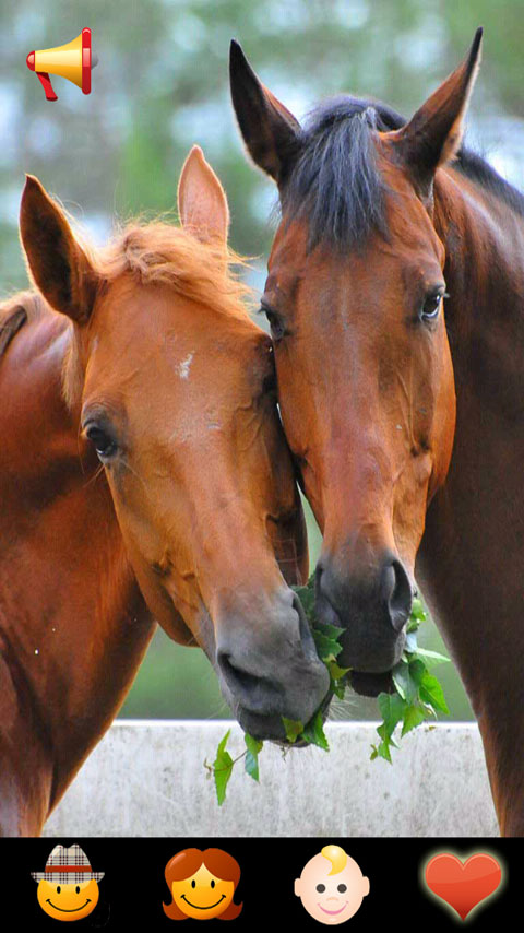 ZOOLA - Best animal app for kids - App on the Amazon Appstore