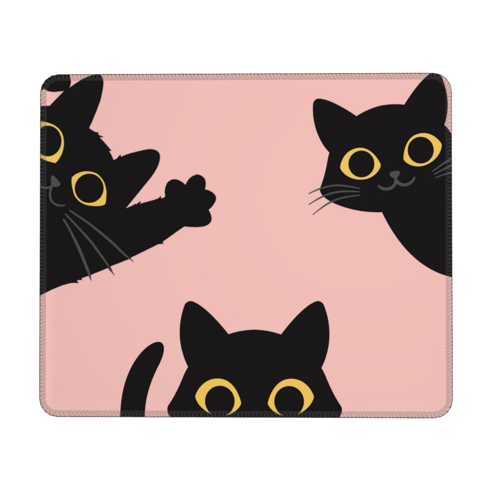 Funny Cat Picture Computer