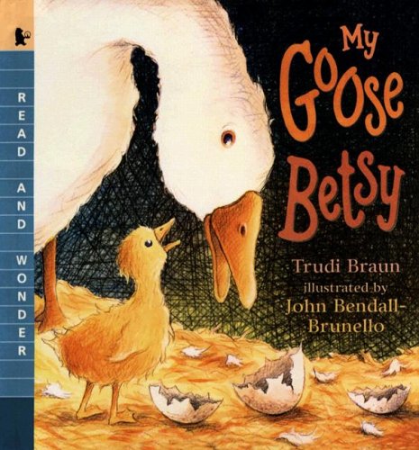 My Goose Betsy (Read And Wonder): Braun, Trudi: 9780606334334: Amazon ...