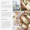 Valentte Reed Diffuser - Lemongrass & Rosemary Scent | Essential Oil ...