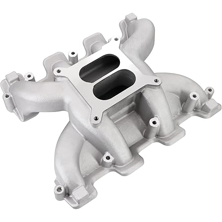 Amazon.com: Dokili Dual Plane Carbureted Intake Manifold for G.M LS1 ...