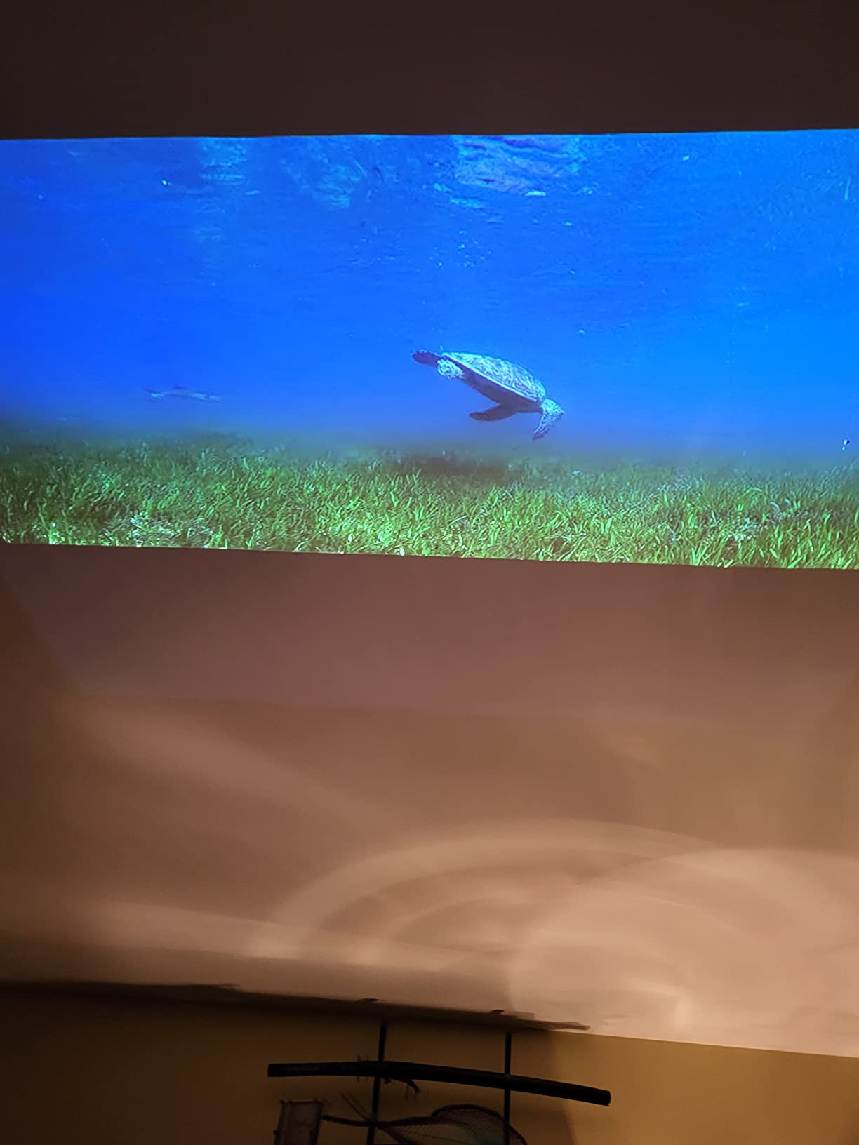 Samsung Freestyle Carrying Carrying Case for Smart Portable Projector ...