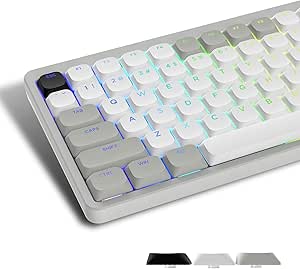 Amazon.com: Womier Low Profile Keycaps - Shine Through Keycaps 60 65 75 ...