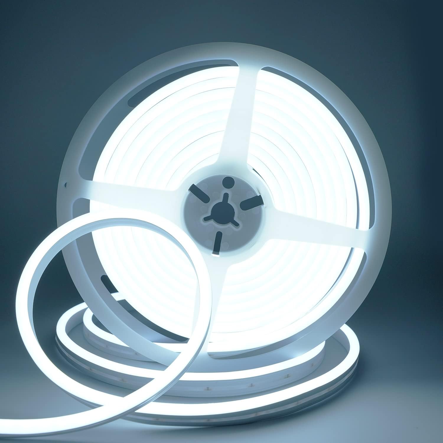 EverBright Bande lumineuse néon LED 12 V pour intérieur ou extérieur ...