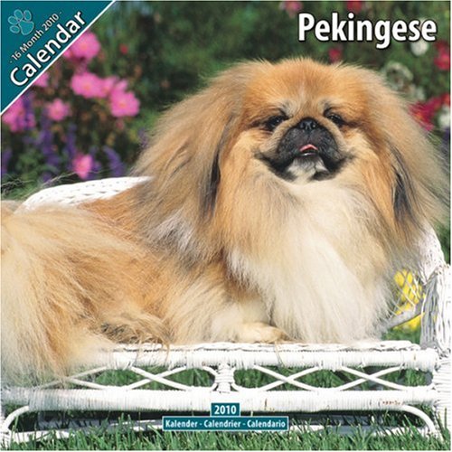 Pekingese 2010 Wall Calendar: Avonside Publishing LTD: 5038455001599 ...