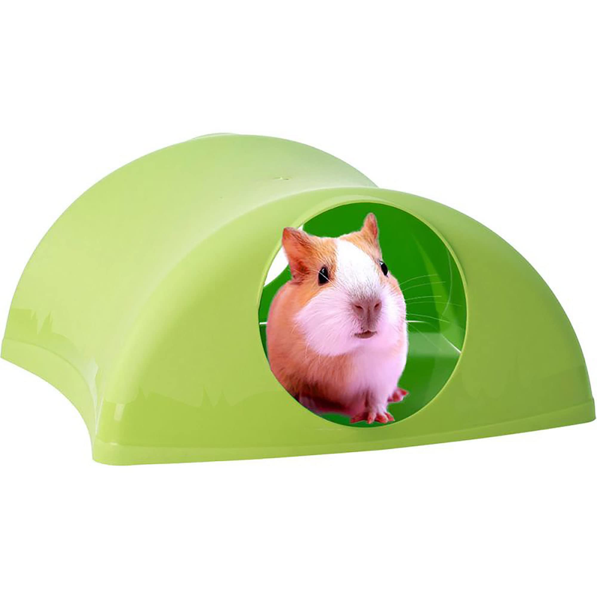 Snapklik.com : Lixit Critter Hollow Igloo Hidaway Home For Guinea Pigs ...