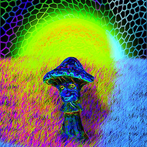 Play Life by Moji on Amazon Music