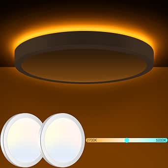 2PACK Flush Mount Ceiling Light Fixtures with Night Light - 3000K-4000K ...