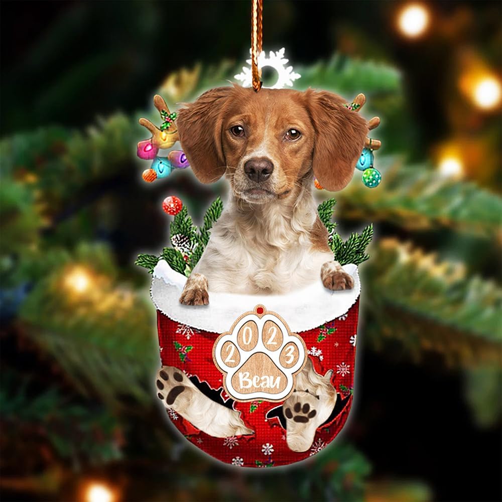 Amazon.com: NAZENTI Personalized Brittany Spaniel in Snow Pocket ...