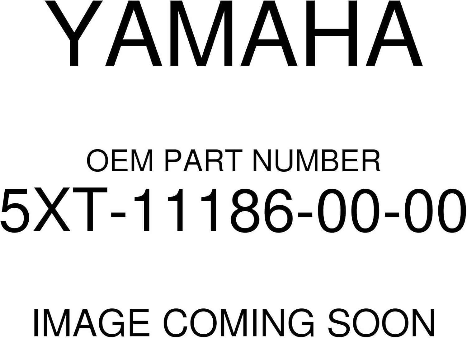 Amazon.com: Yamaha 5XT-11186-00-00 Cover, Cylinder Head Side 2 ...