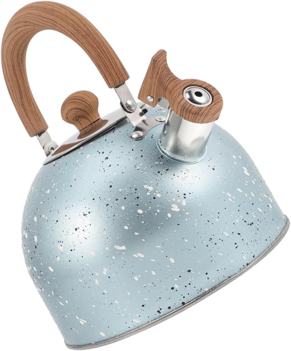 Amazon.com: TIDTALEO coffee pot small teapot Capacity Tea Kettle for ...