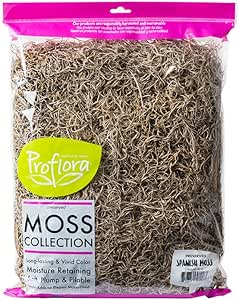 Amazon.com: ProFlora (02140) Spanish Moss, Natural, 16 Ounce : Patio ...