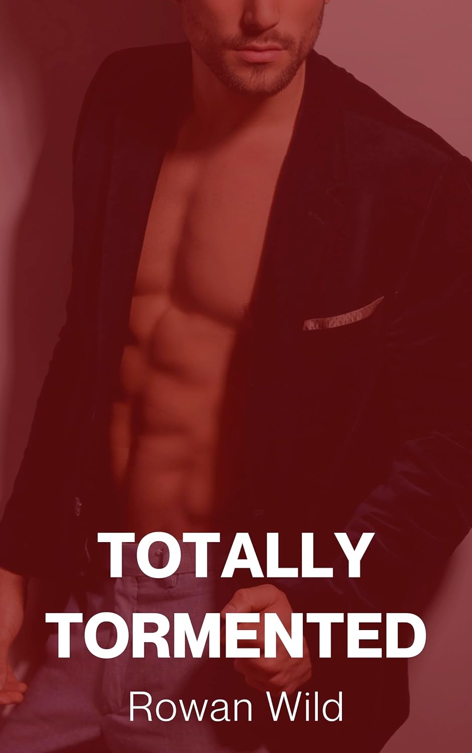 Totally Tormented: Mafia Billionaire S2G Seduction (Totally His Book 3 ...