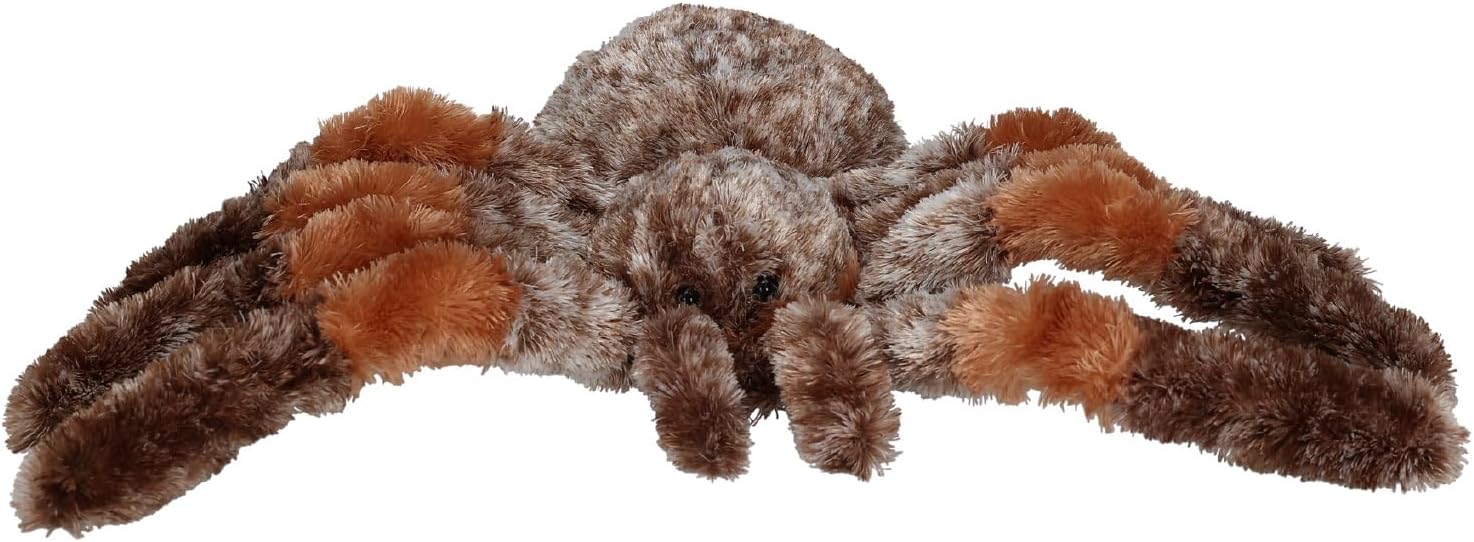Amazon.com: A New Soft and Cute Spider Plush Toy for Young Boys and ...