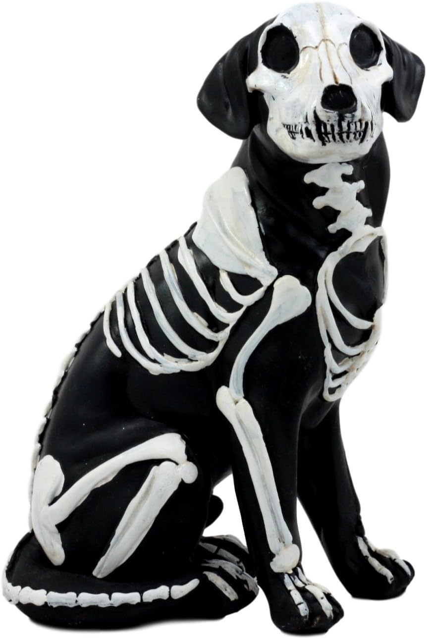 Amazon.com: Ebros Day of The Dead Bone Skeleton Dog Statue 7.5" H X-Ray ...