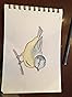 Ten-Step Drawing: Nature: Learn to draw 60 plants & animals in ten easy ...