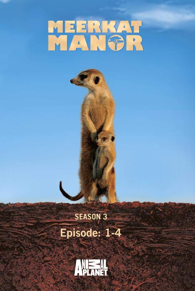 Meerkat Manor Shakespeare Whiskers | Meerkats Fanon Wiki | Fandom