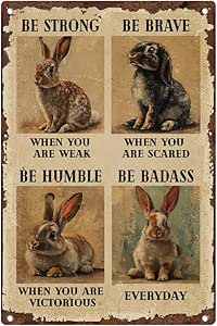 Amazon.com : Hobbspring 1pc Vintage Metal Tin Signs 8x12 inch Funny ...