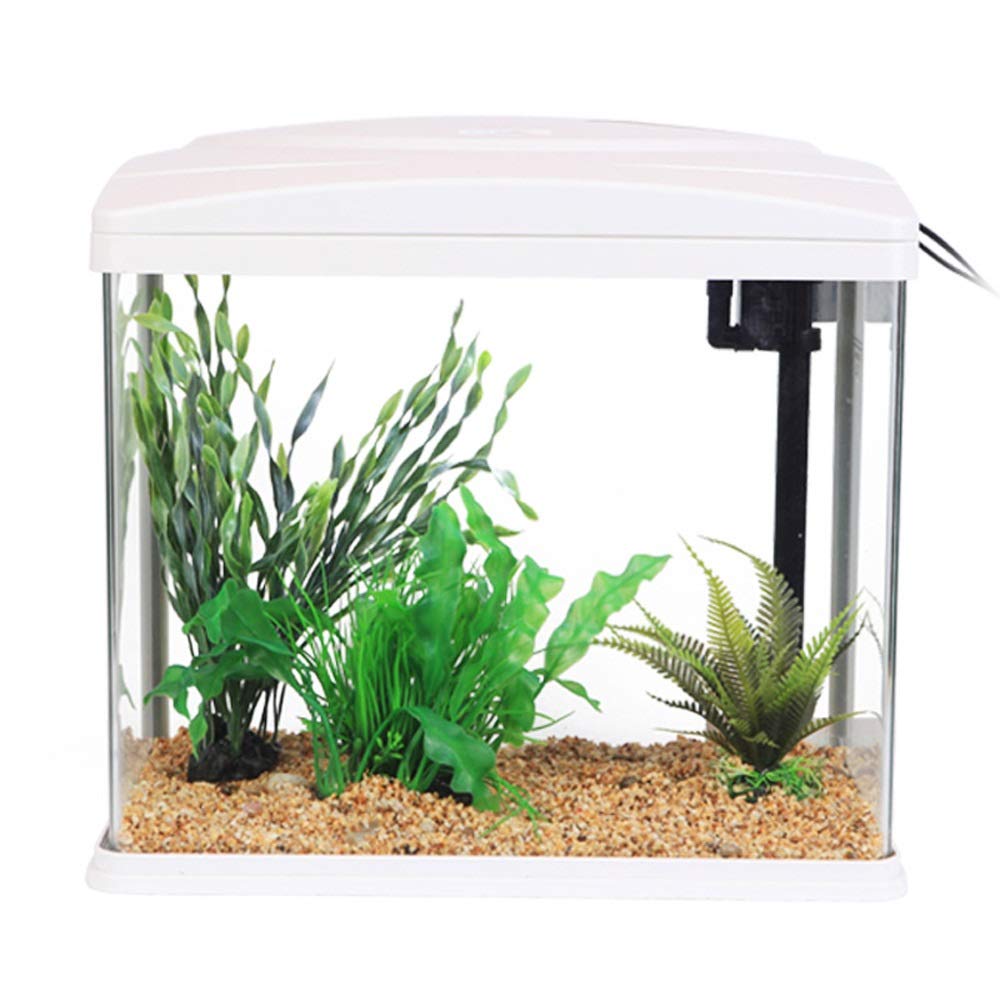 Buy WSJTT LED Aquarium Starter Kits 3 in 1 Ecological Desktop Glass ...