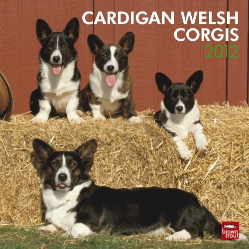 Cardigan Welsh Corgis 2012 Square 12x12 Wall Calendar: BrownTrout ...