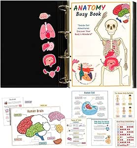 Amazon.com: Human Anatomy Busy Book, Human Body Anatomy Busy Book for ...