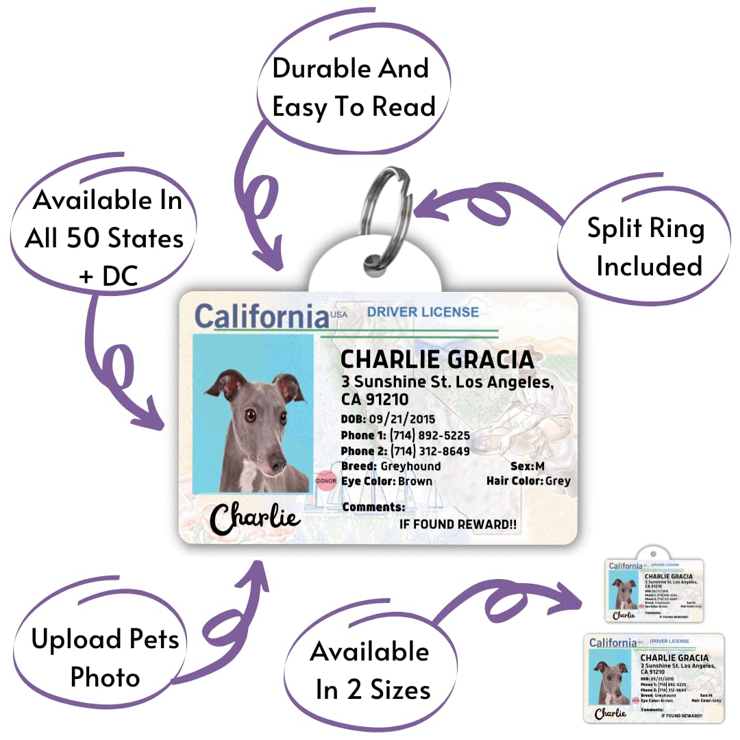 What Is A Dog License In California