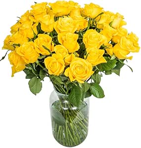40 Long Stemmed Yellow Roses ? Fresh Yellow Roses, 40 Yellow Roses ...