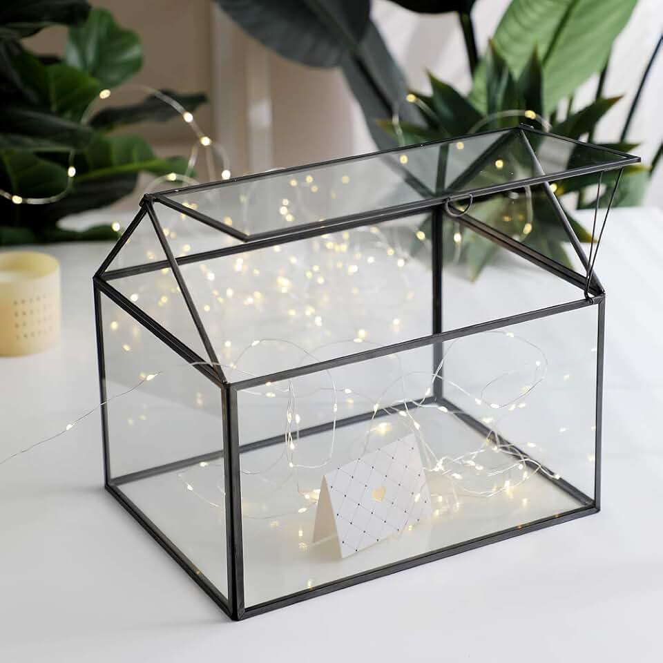 Amazon.com: large terrarium containers