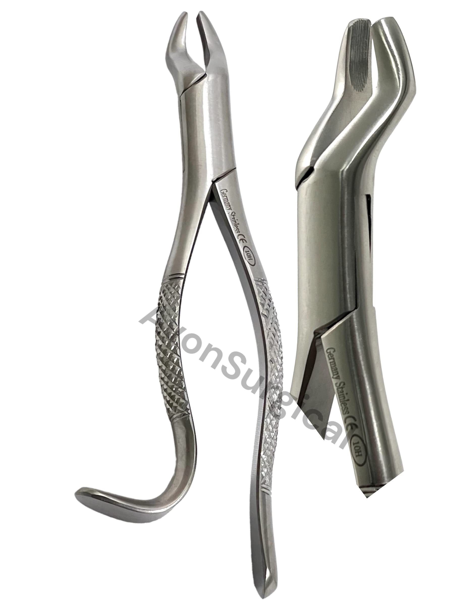 Amazon.com: German EXTRACTING Forceps # 10H Dental Surgical Instruments ...