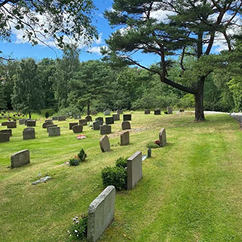 Écouter End of Days par Mike Pearl feat. David Lindstrand sur Amazon Music Unlimited